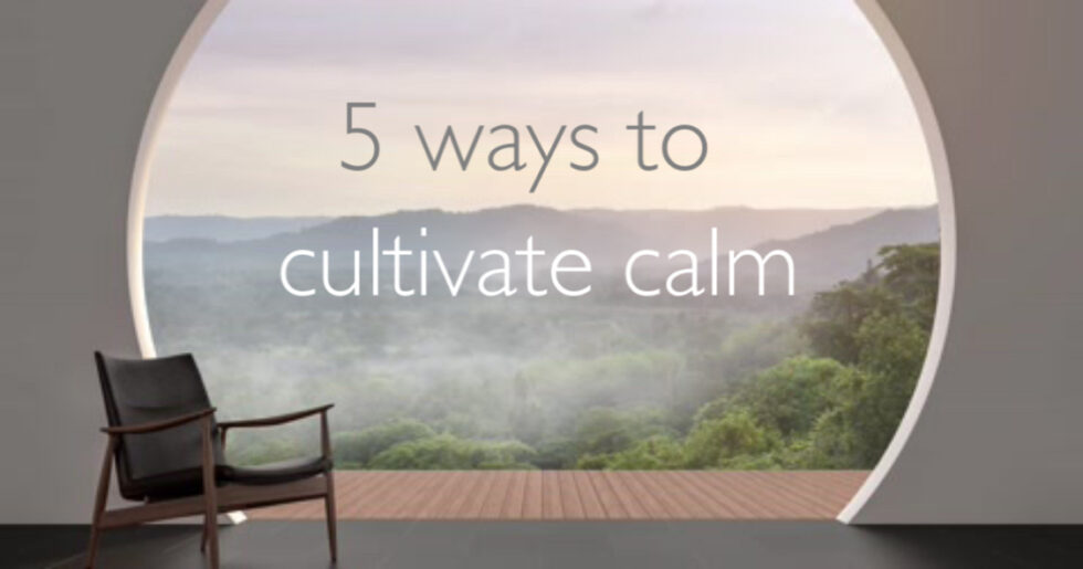Blog | How To Cultivate Calm | The Spare Room