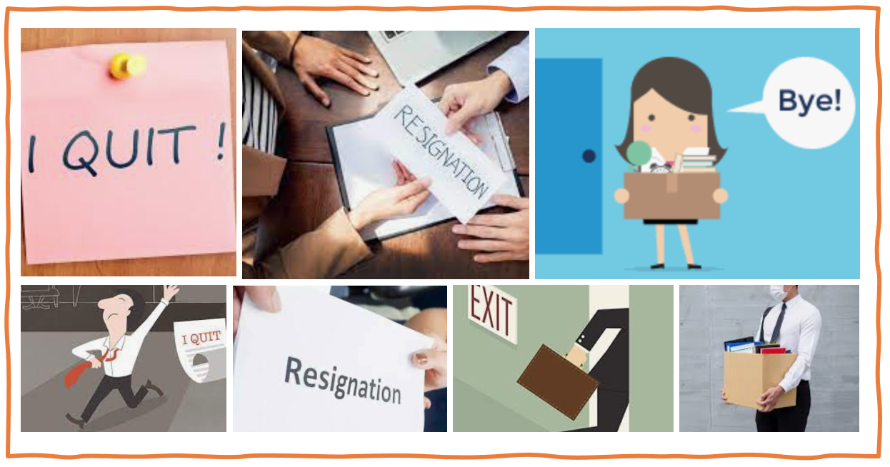 Blog | The Great Resignation | The Spare Room