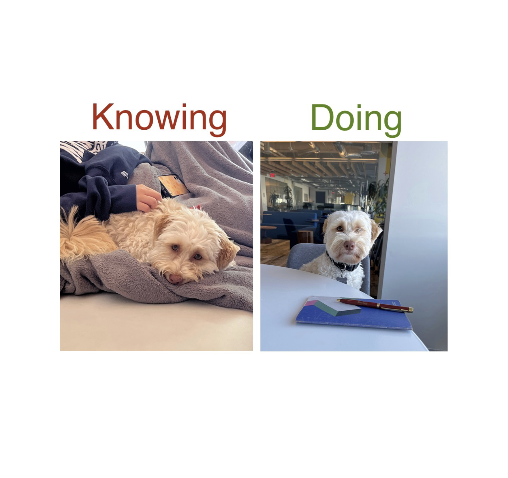 Torment lives between knowing and doing - Social Legacy